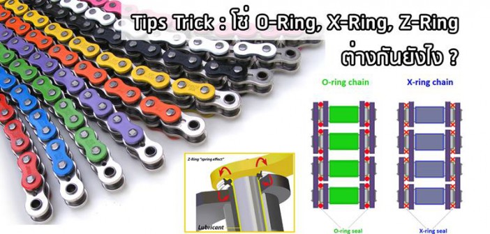 Tips Trick: โซ่ O-Ring, X-Ring, Z-Ring, ฯลฯ ต่างกันยังไง ? - Motorival.com